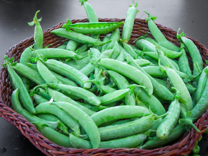 An upload by Austin Blaylock on Coroflot: to the project Dorsing Seeds ...