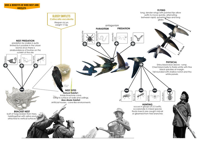 ANTHROME TOWER by Siti Suraiya Shahid at Coroflot.com