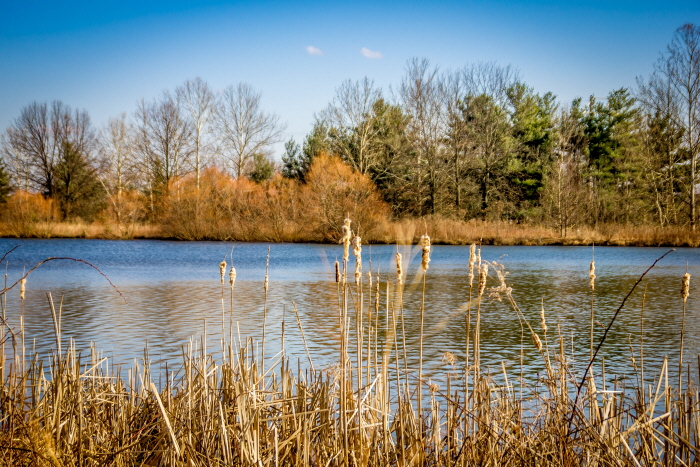 Warm Winter Day by Brian Henry at Coroflot.com