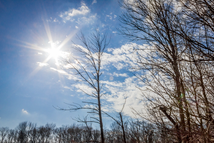 Warm Winter Day by Brian Henry at Coroflot.com