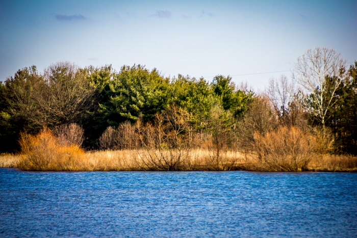 Warm Winter Day by Brian Henry at Coroflot.com