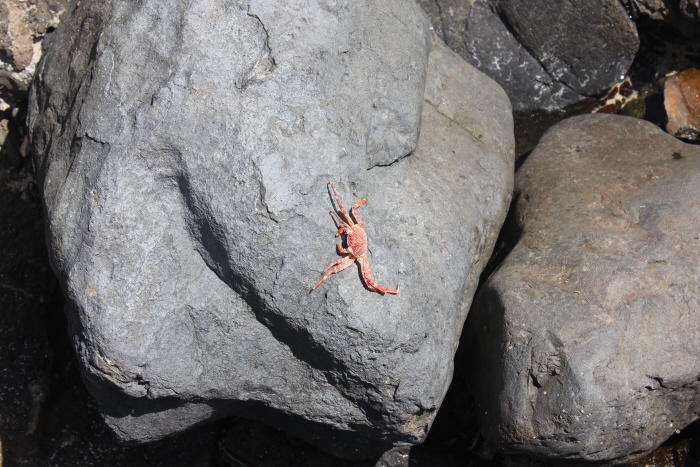 Principles of Design by Taylor Muse at Coroflot.com