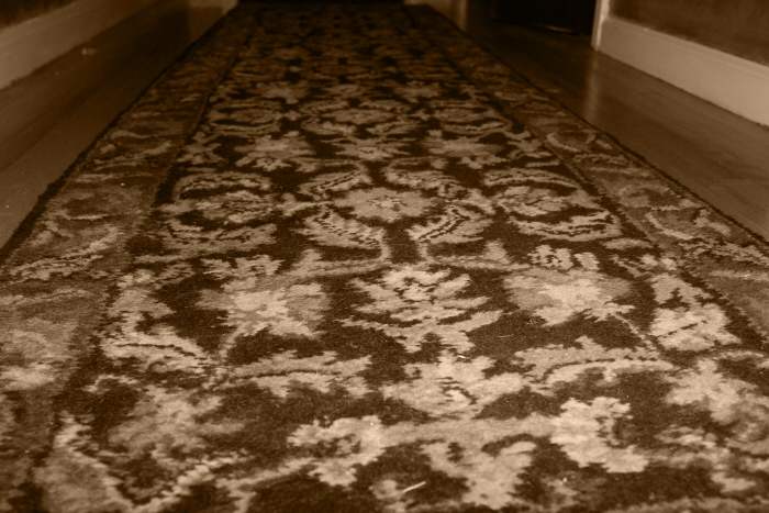 Principles of Design by Taylor Muse at Coroflot.com