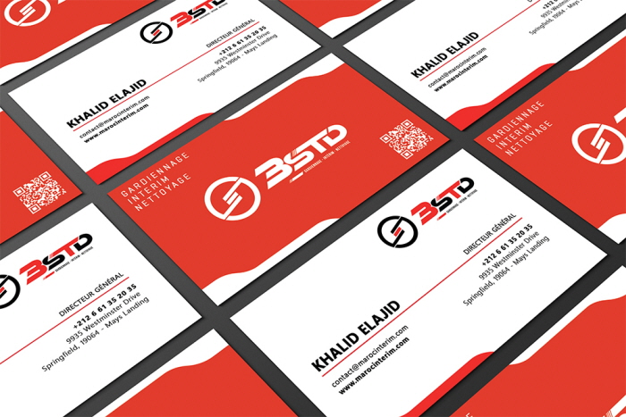 3STD: Charte graphique, vitrine publicitaire, site web by Anas S. at ...