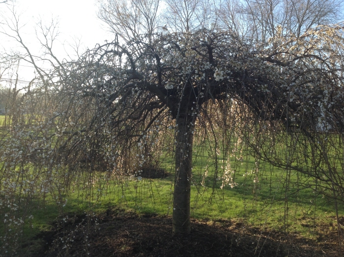 An upload by Jack Coney on Coroflot: to the project Homage Shoot