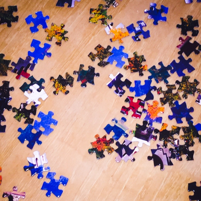 An upload by Nicole Bonica on Coroflot: to the project homage shoot