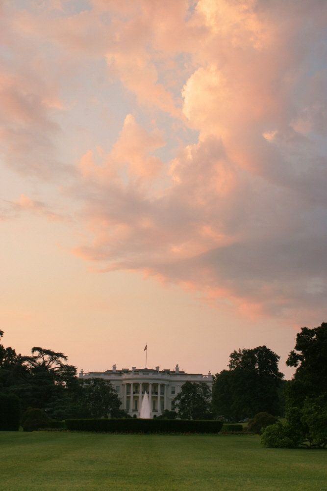 An upload by Jackie Ly on Coroflot: to the project Washington DC Project