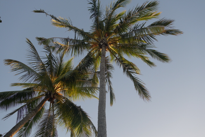 An upload by Christoph Hollburg on Coroflot: to the project Australian ...