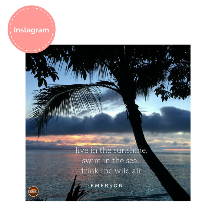 Social Media by Moira Morgan at Coroflot.com