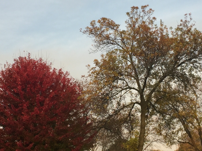 An upload by Vince Av on Coroflot: to the project Ansel Adams Homage Shoot