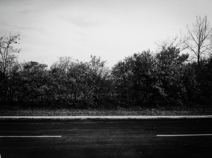 An upload by Nora Kujawa on Coroflot: to the project Homage Shoot