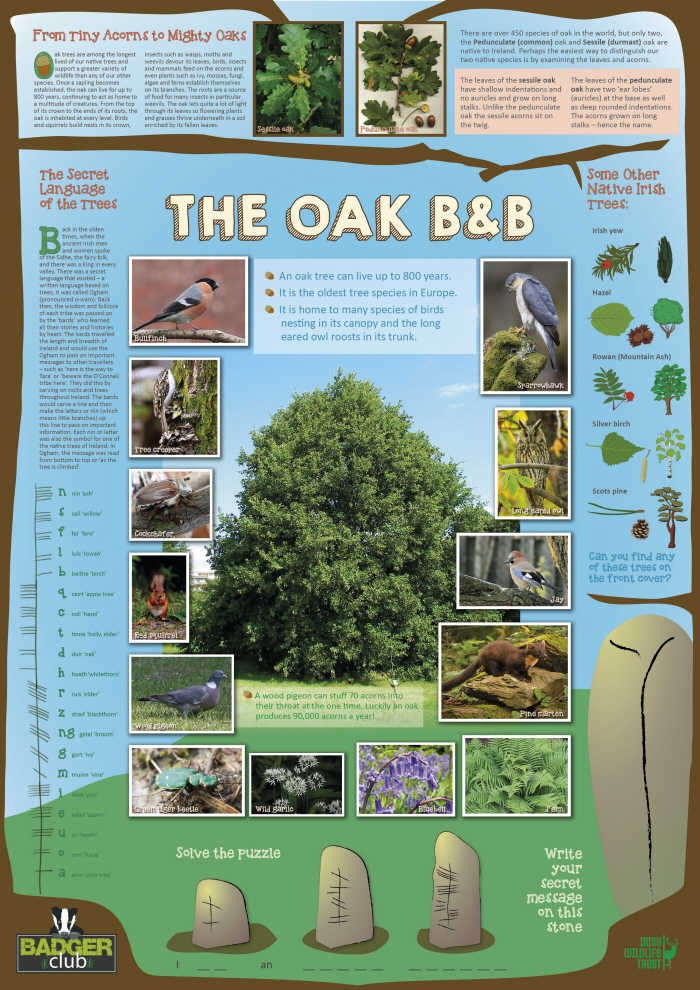 An upload by Barbara Vasic on Coroflot: to the project Irish Wildlife ...