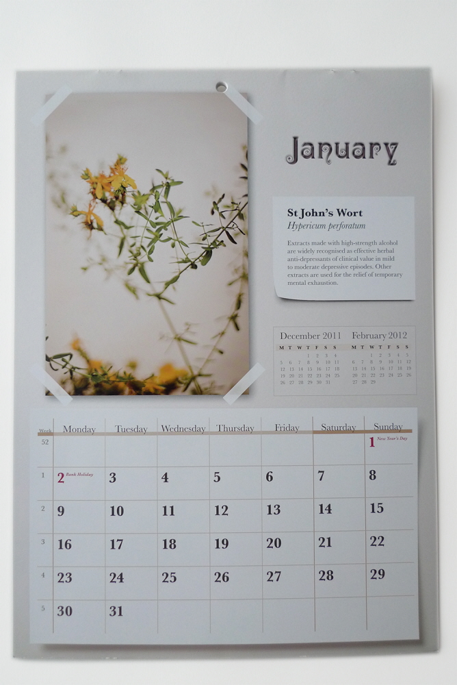 Healing herbs herbarium calendar by Barbara Vasic at Coroflot.com
