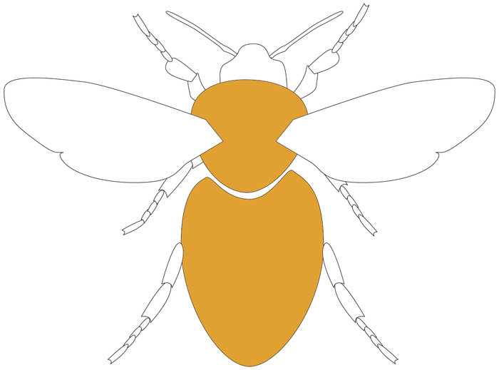 Irish Bumblebee ID Poster by Barbara Vasic at Coroflot.com