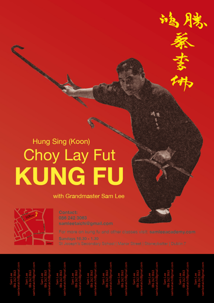 Poster for Kung Fu classes by Barbara Vasic at Coroflot.com