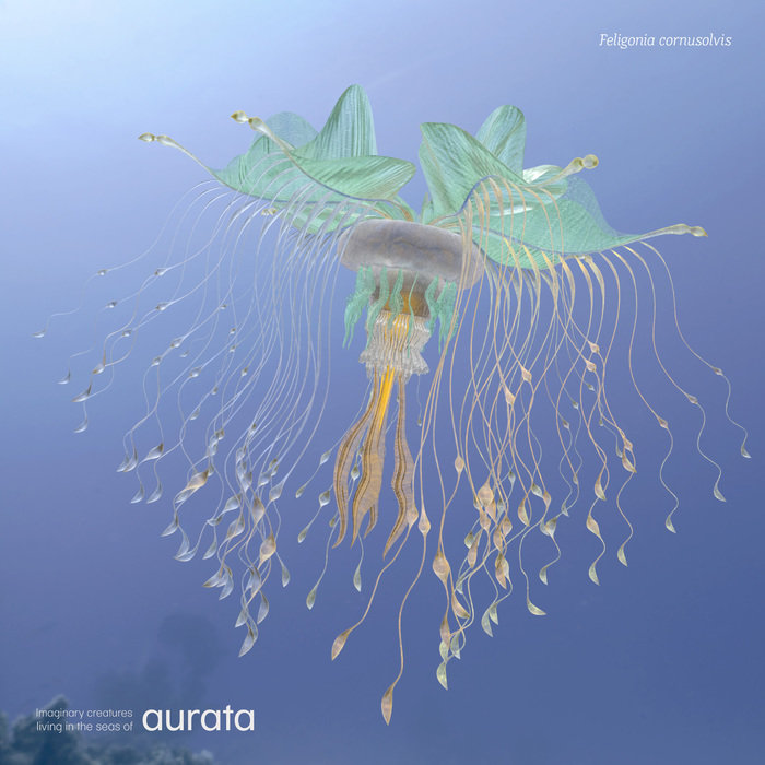 Aurata, part 1 by Mikhail Puzakov at Coroflot.com