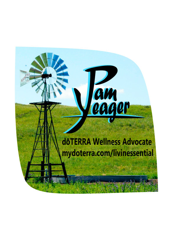 Freelance Logo Design by Chance Hendrix at Coroflot.com