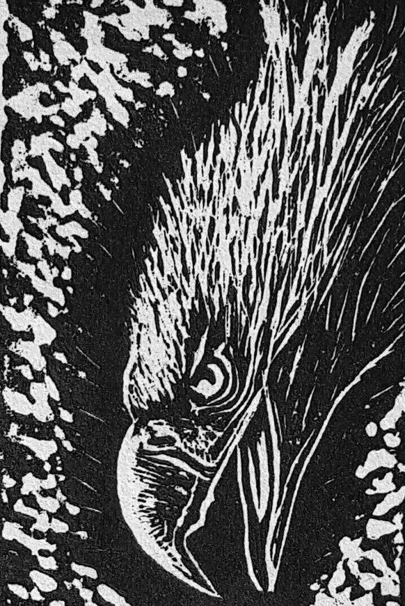 Printmaking by Chance Hendrix at Coroflot.com