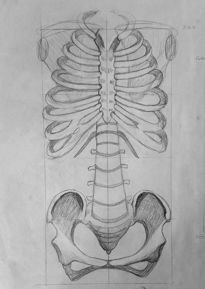 Illustration/Life Drawings by Chance Hendrix at Coroflot.com