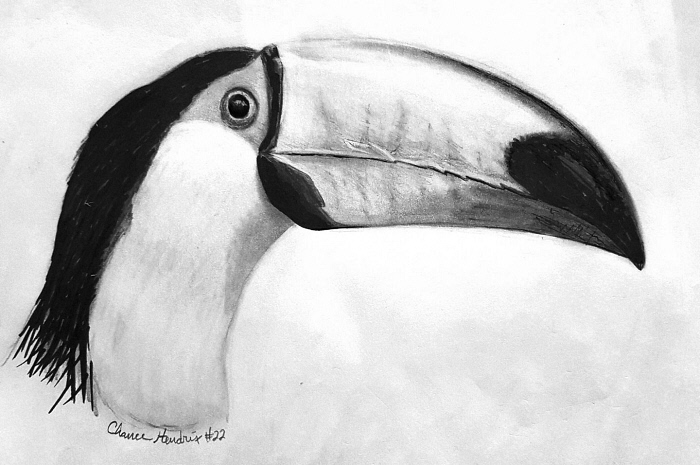 Illustration/Life Drawings by Chance Hendrix at Coroflot.com