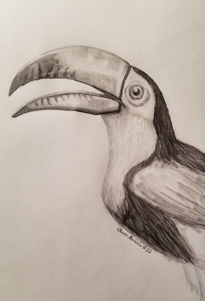 An upload by Chance Hendrix on Coroflot: to the project Illustration ...