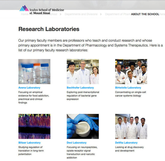 An upload by Lisa Mirabile on Coroflot: to the project Mount Sinai ISMMS