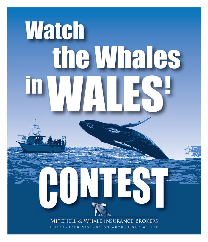 Mitchell & Whale Insurance by Gary Helps at Coroflot.com
