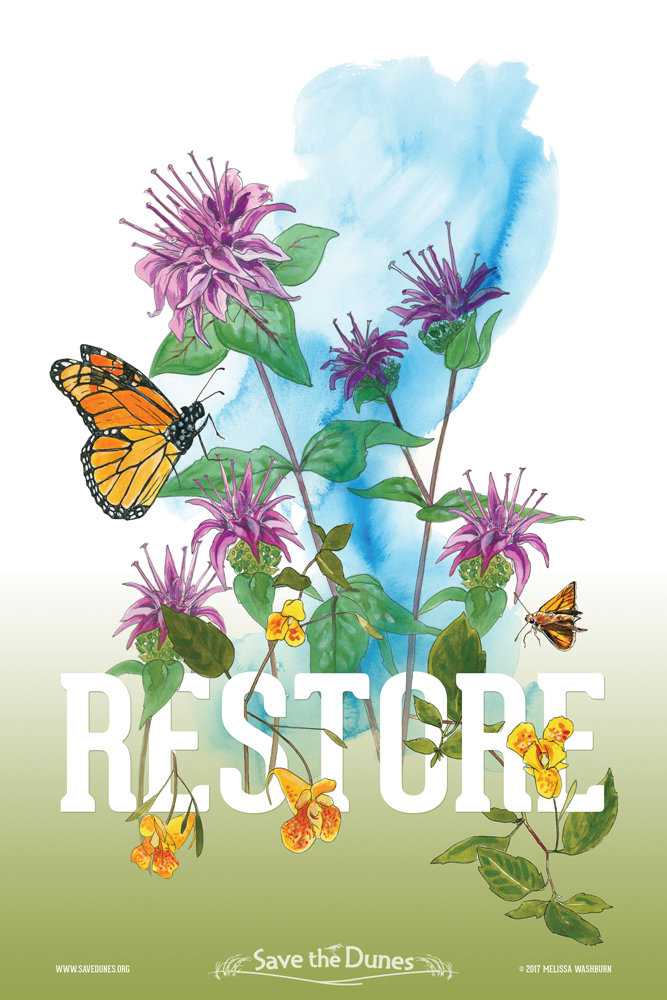 Preserve, Protect, Restore by Melissa Washburn at Coroflot.com