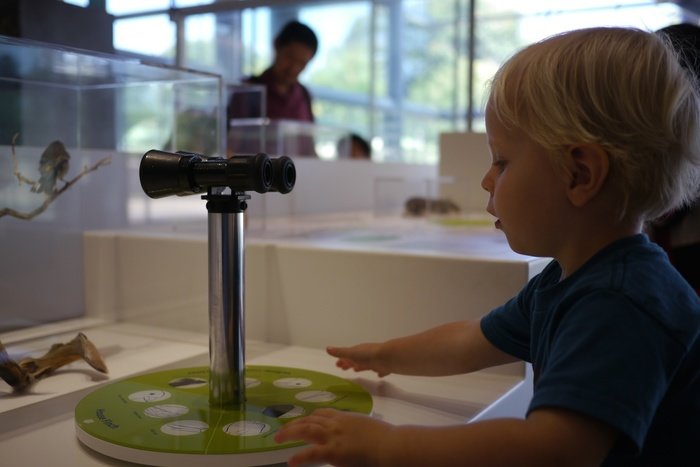 LA NHM - Nature Lab by Robert Creighton at Coroflot.com