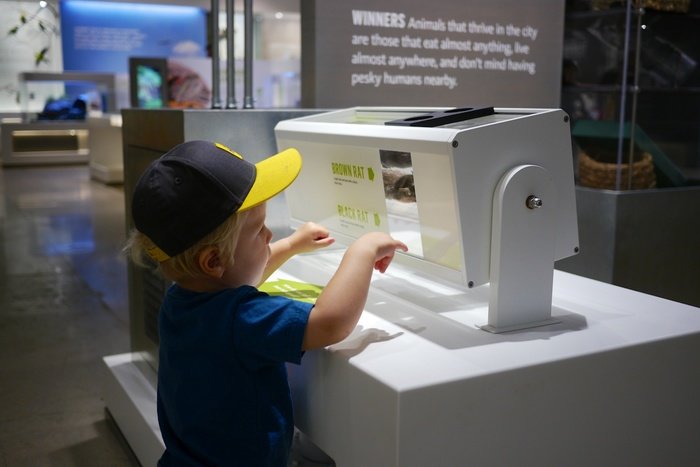 LA NHM - Nature Lab by Robert Creighton at Coroflot.com