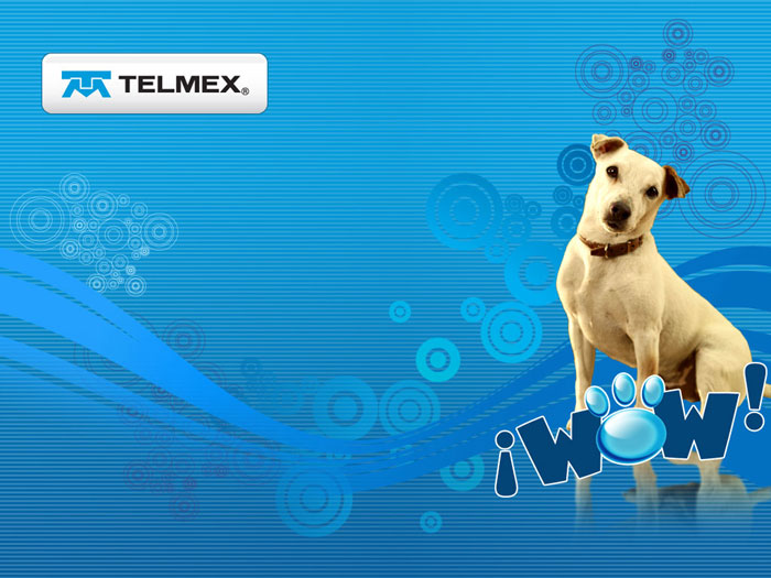 Telmex by Daniel Campos Urquiza at Coroflot.com