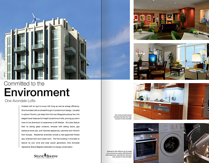 An upload by Mike Hutchinson on Coroflot: to the project Shane Baghai ...