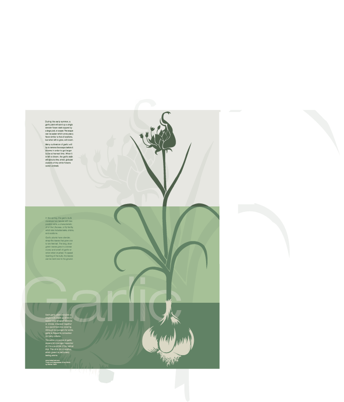 An upload by Stephanie Loftus on Coroflot: to the project Portfolio