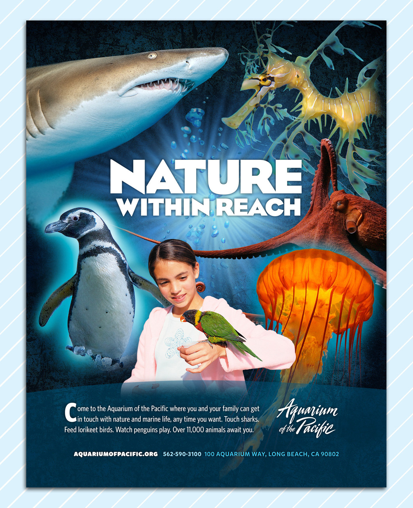 Aquarium Master Ad Art by Brian Gray at Coroflot.com