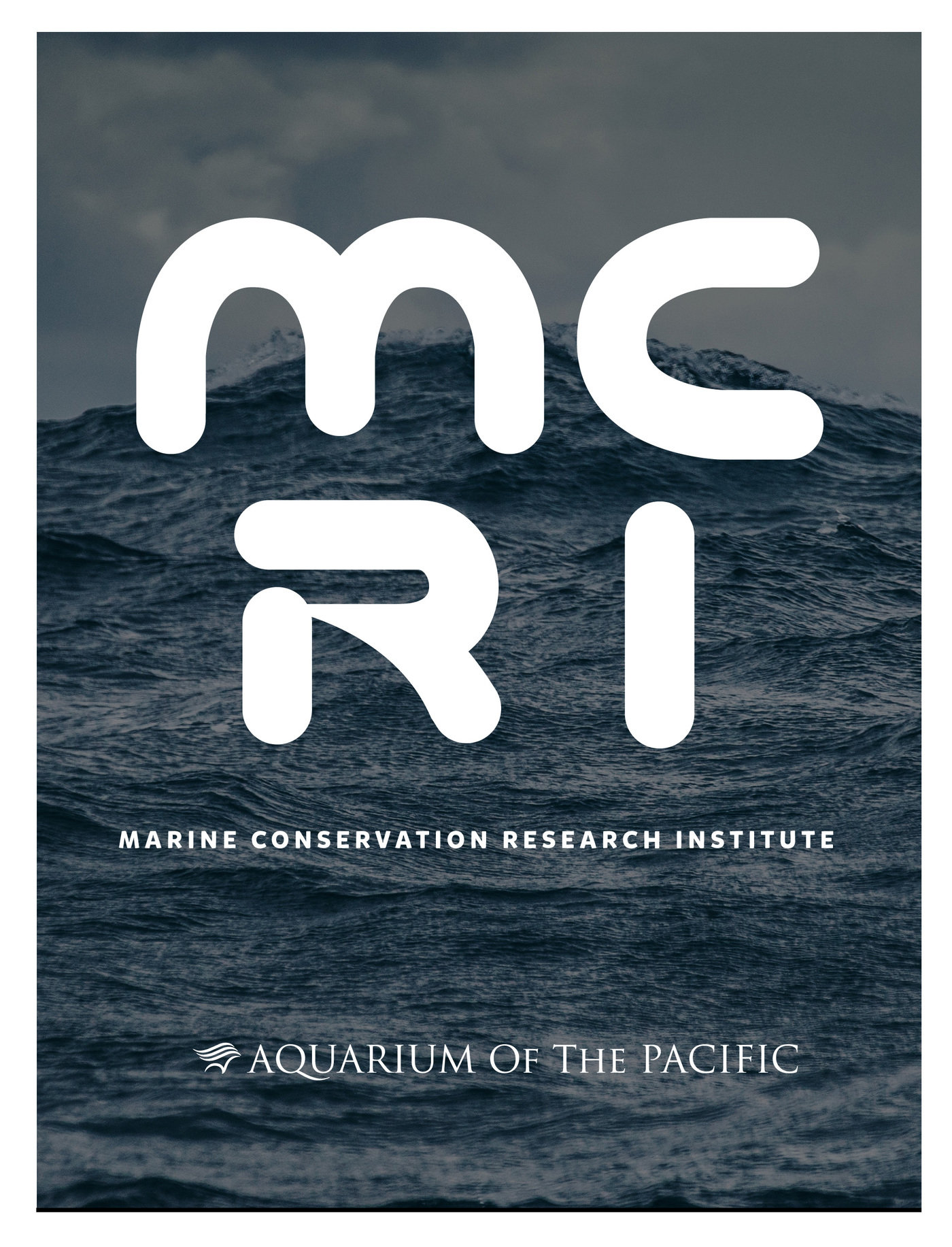 MCRI Brochure by Brian Gray at Coroflot.com