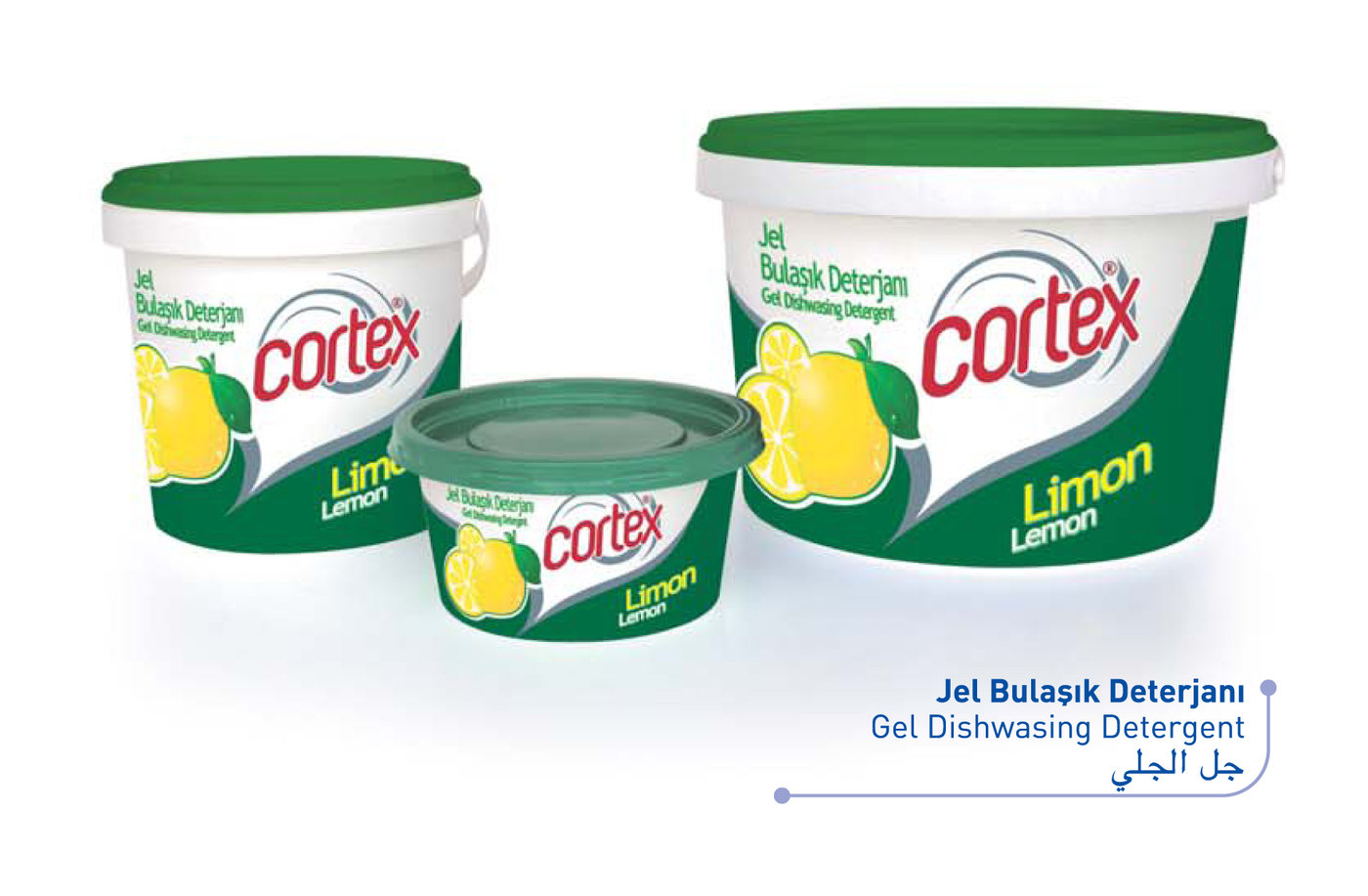 The Labels by Seher Sefer Kırbaç at Coroflot.com