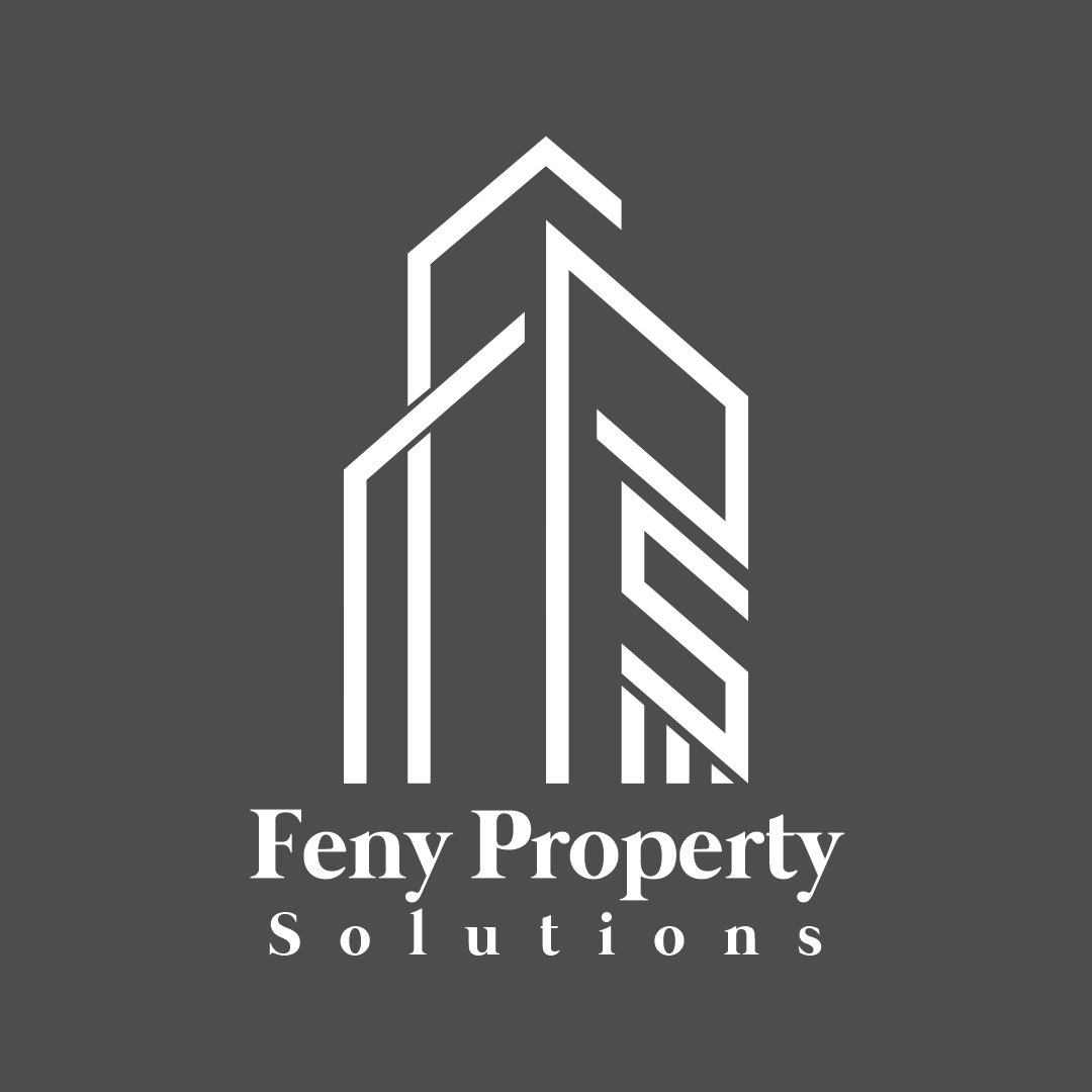 Feny Brand Identity Design by Daniel Adeyemi at Coroflot.com