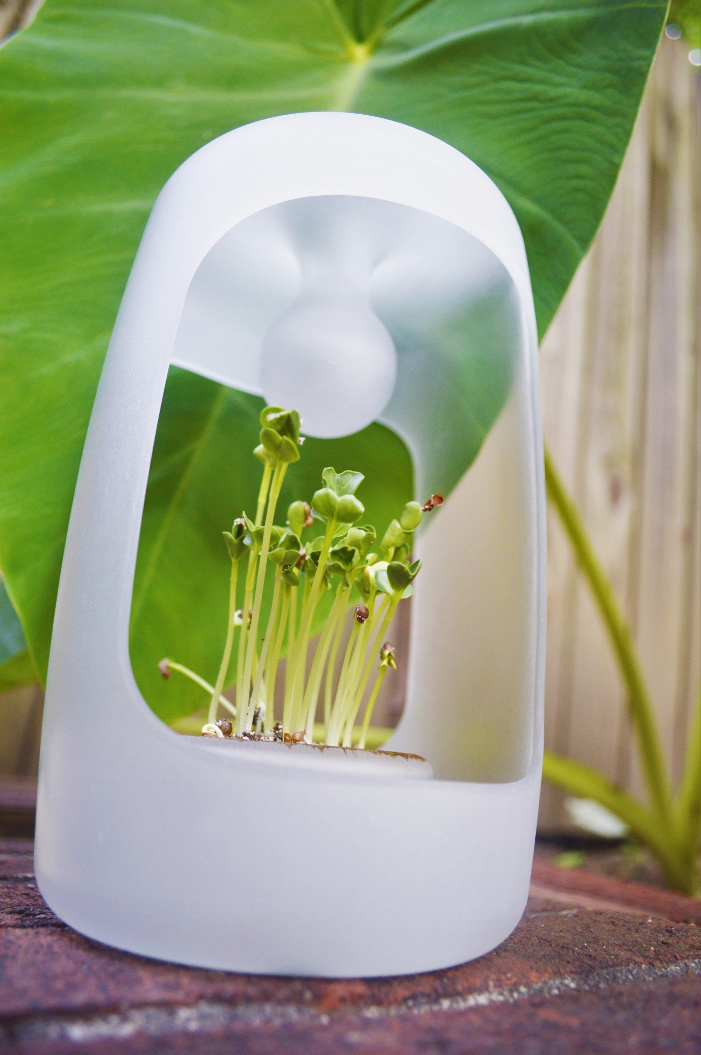Grow Pod by Devin Sidell at Coroflot.com