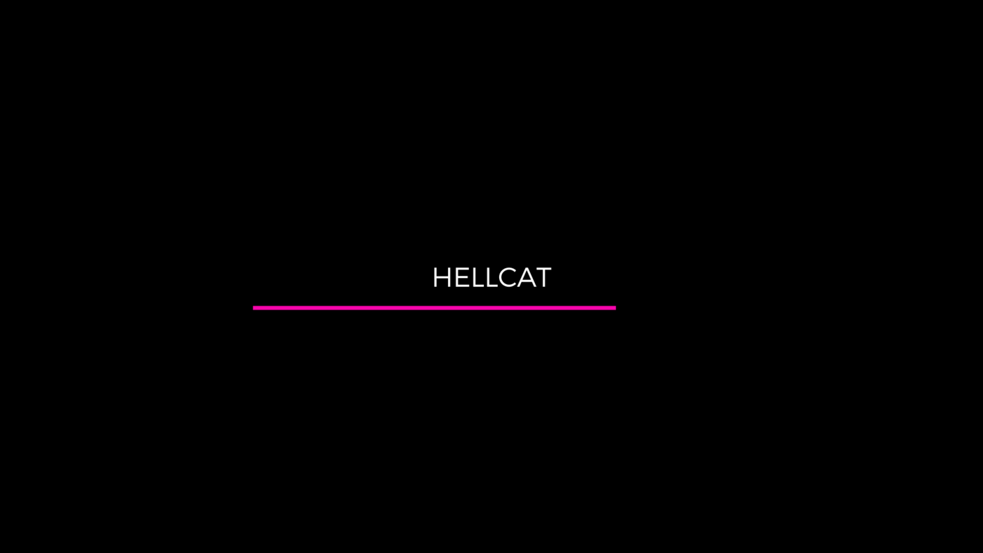 Hellcat Look Book by Katie Peabody at Coroflot.com