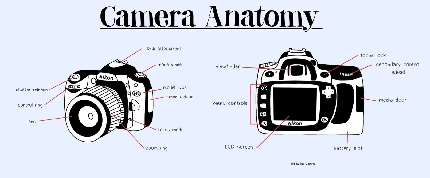 Camera Anatomy Infographic by Holly Uses at Coroflot.com