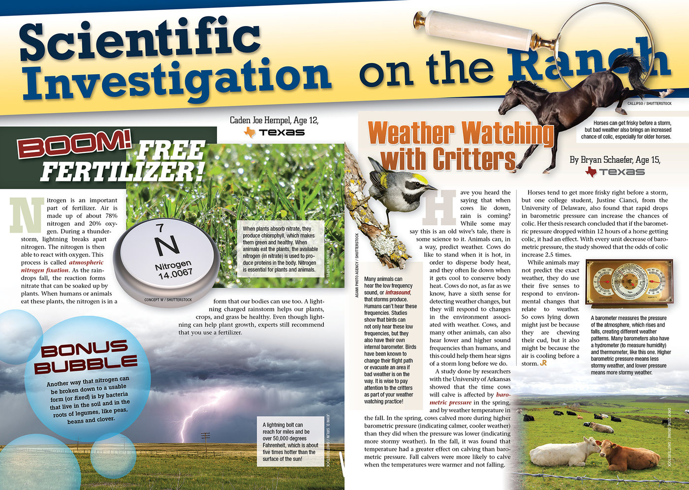 Working Ranch Junior magazine - spread - Scientific Investigation by ...
