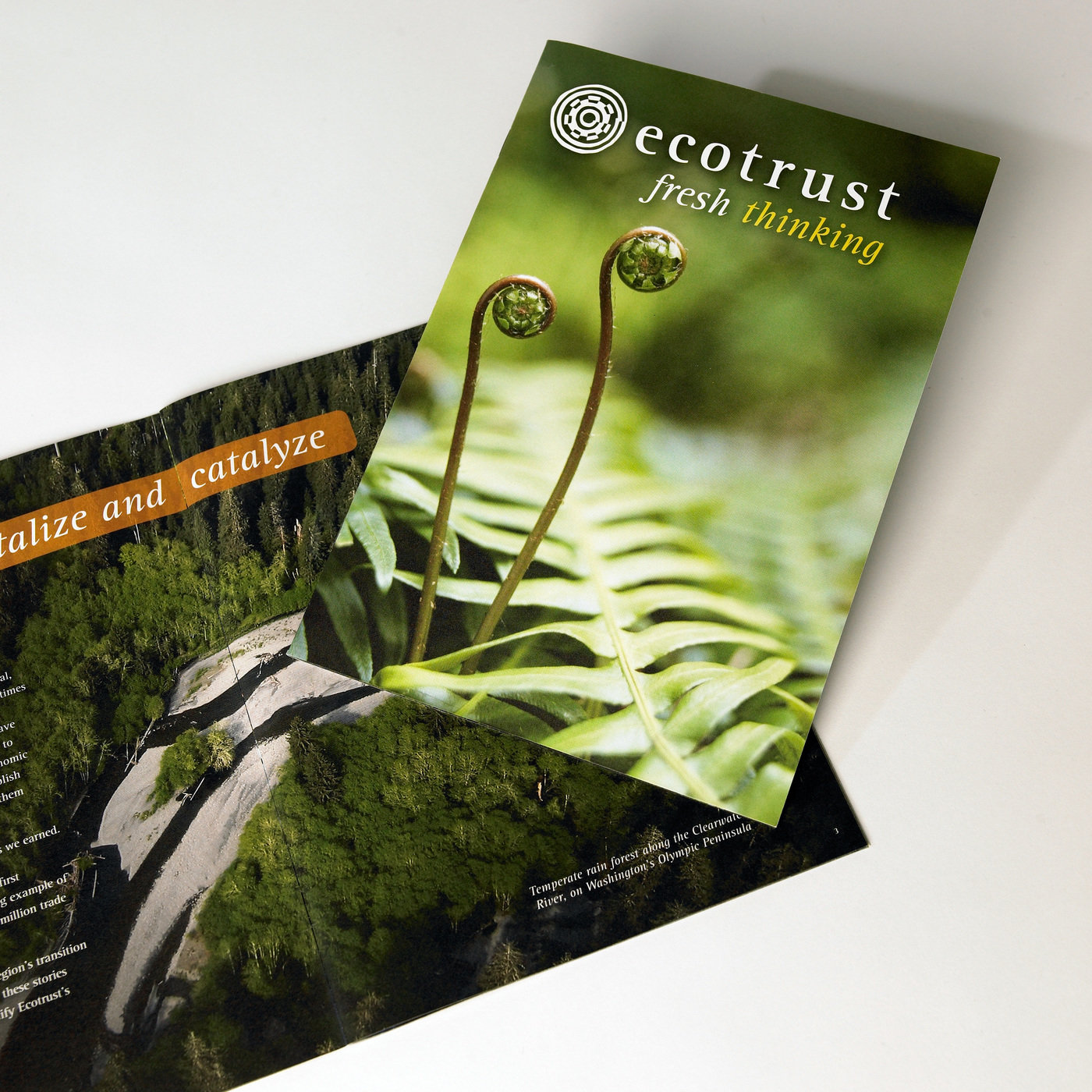 Ecotrust Fresh Thinking Brochure by Melissa Tatge at Coroflot.com