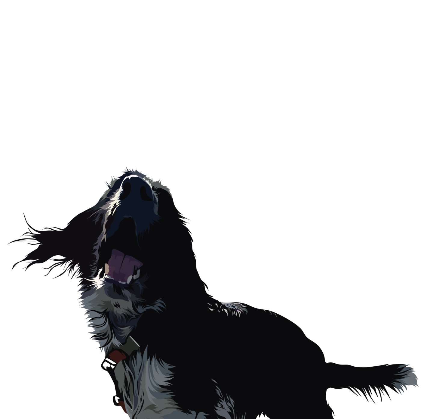 new project special pet portrait by Iman Sabri at Coroflot.com