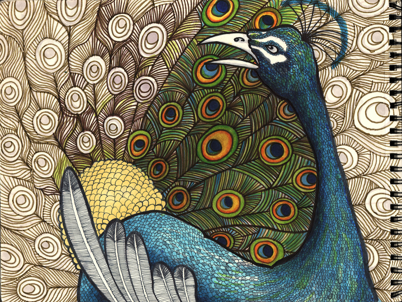 Bus Drawings Project by Thomas Haddad at Coroflot.com