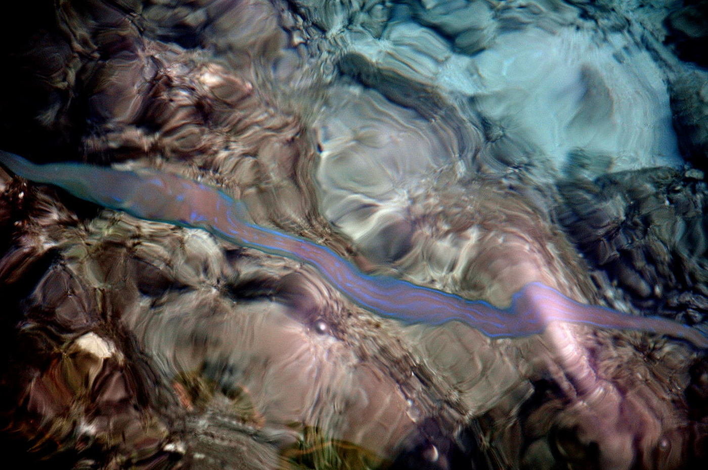 Water Distortions 2011 & 2012 by Joao Santos at Coroflot.com