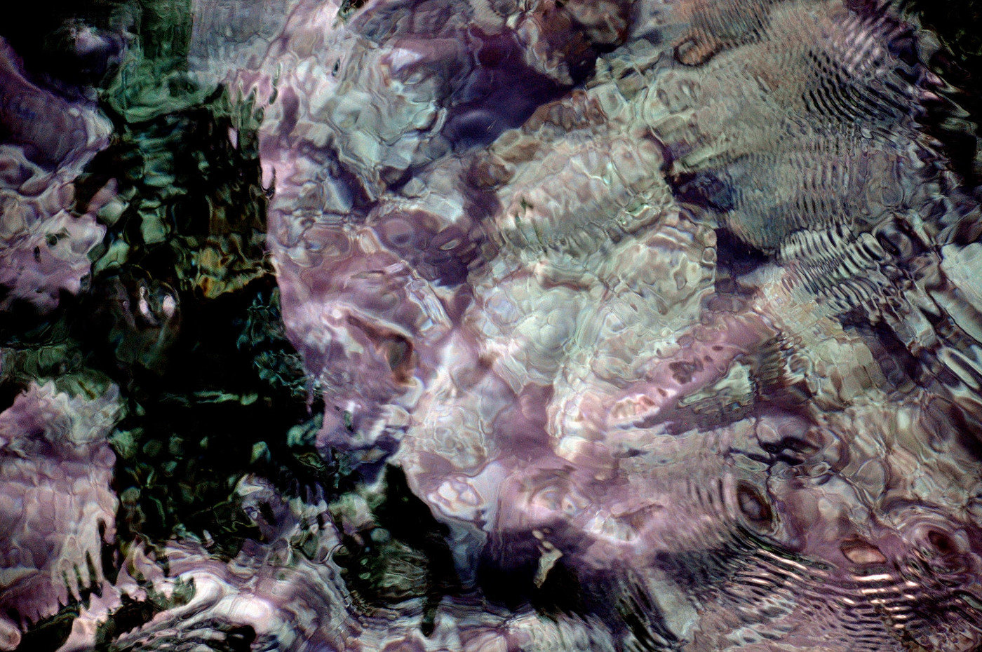 Water Distortions 2011 & 2012 by Joao Santos at Coroflot.com