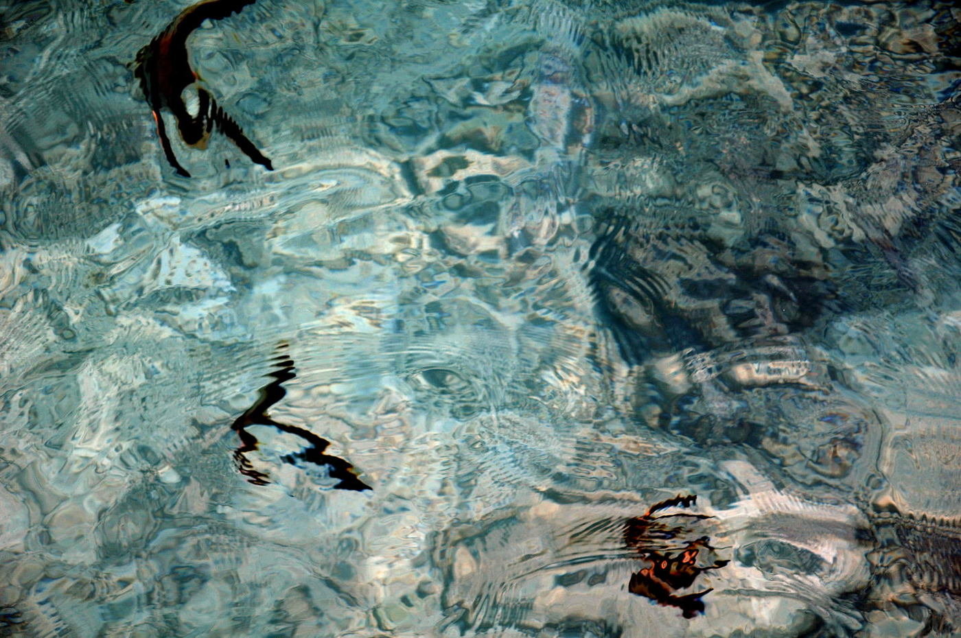 Water Distortions 2011 & 2012 by Joao Santos at Coroflot.com