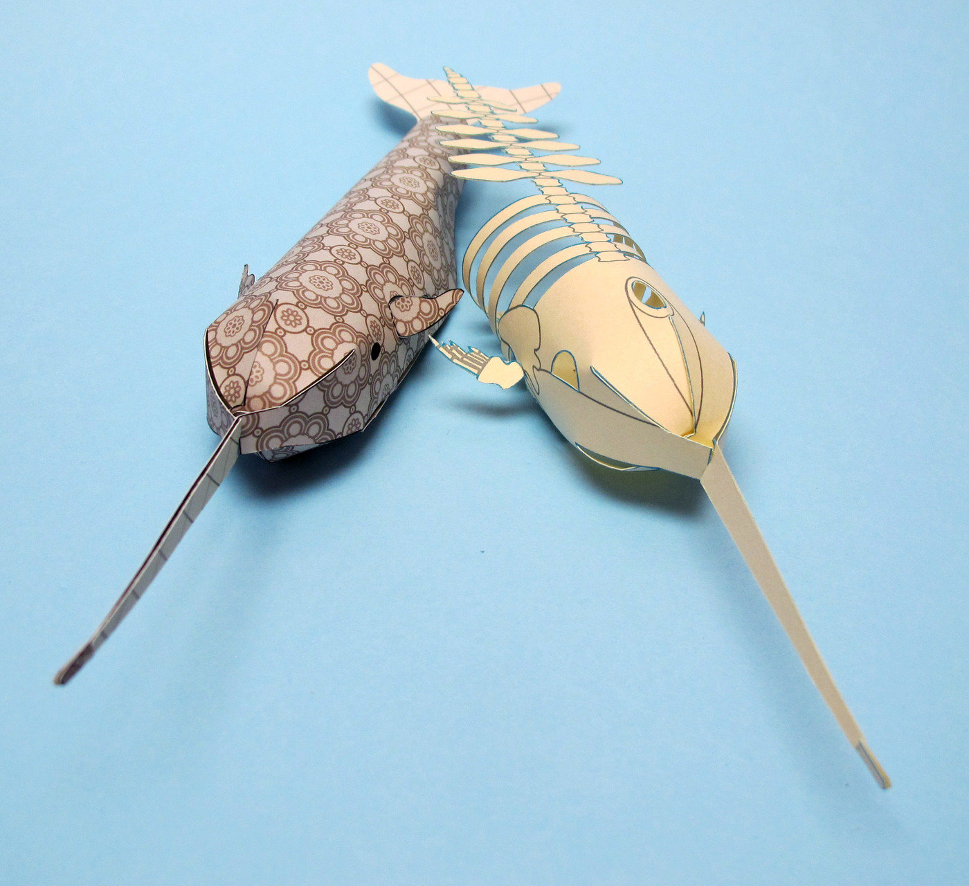 Paper Narwhal & Skeleton by K. Griffith Moore at Coroflot.com