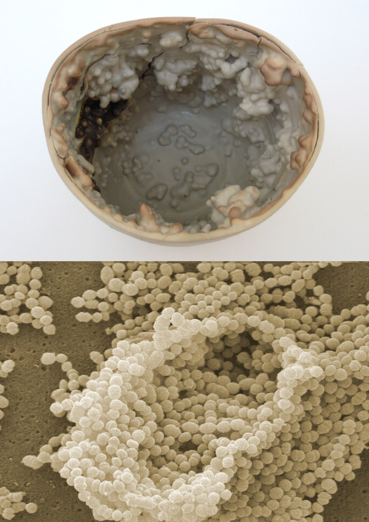 Contamination by Tamsin van Essen at Coroflot.com