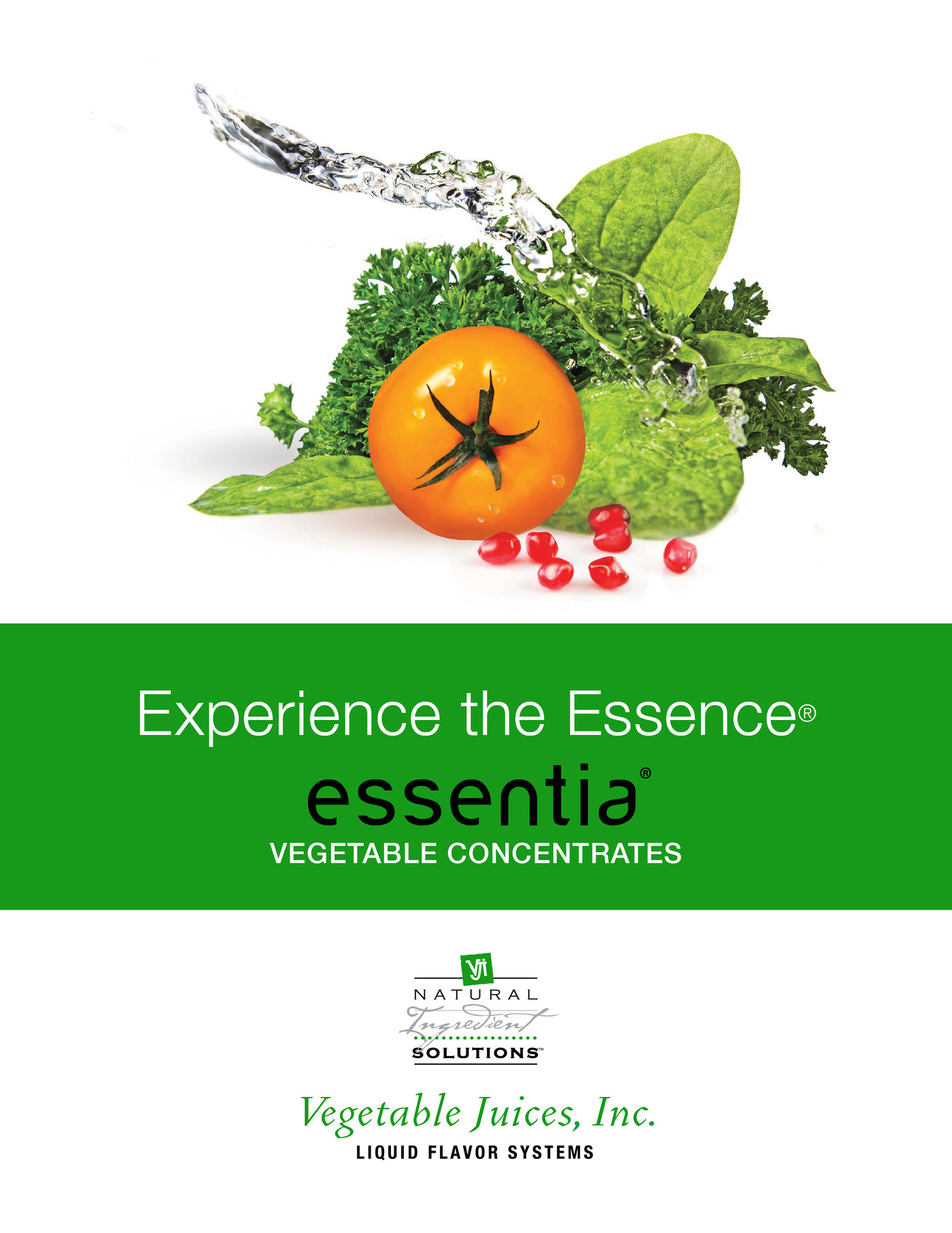 Essentia Brochure by Alex Dorsey at Coroflot.com